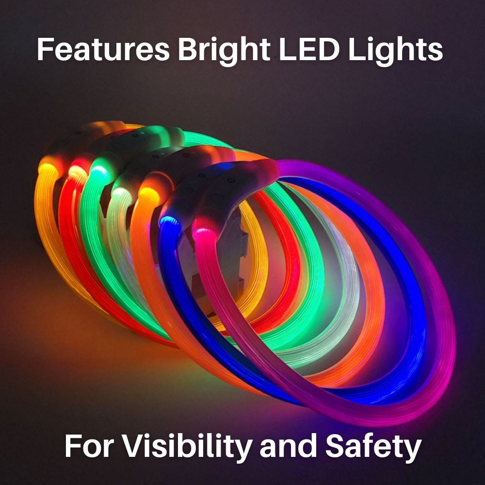 Glow Guardian™ Rechargeable LED Dog Collar - KanaGear