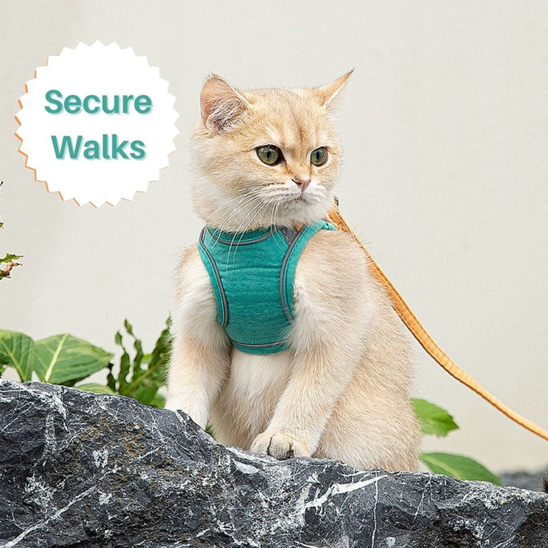 Pawfectly Safe™ Cat Harness And Leash Set - KanaGear