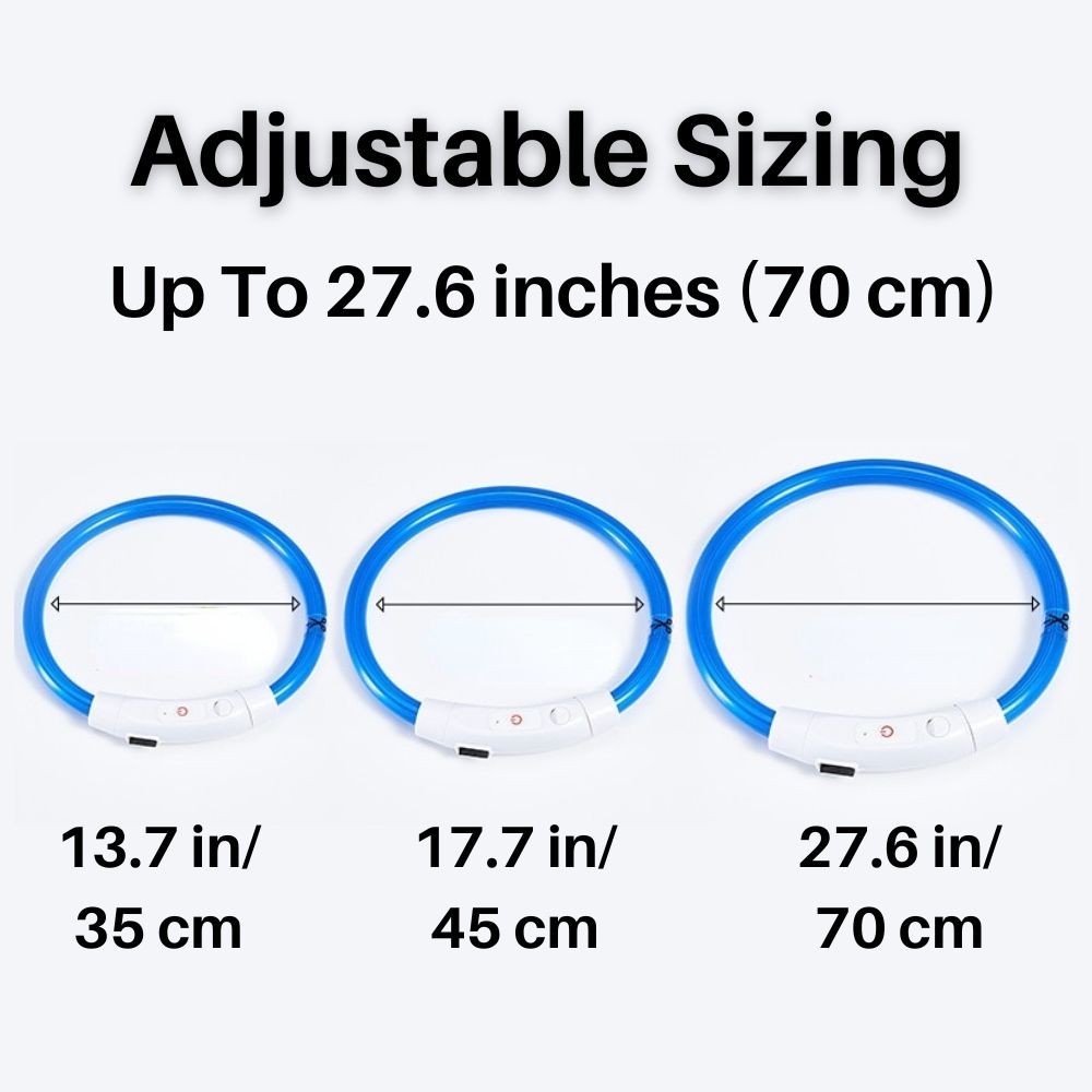 Glow Guardian™ Rechargeable LED Dog Collar - KanaGear