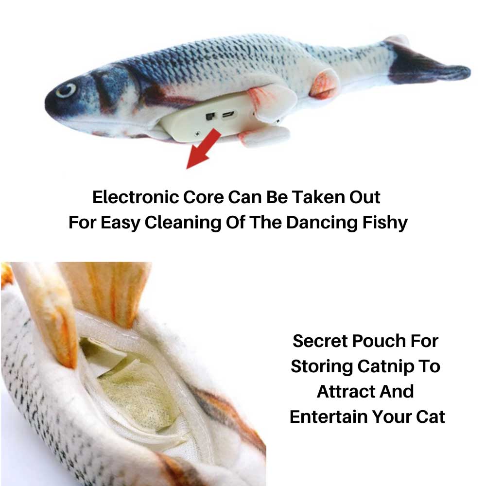 Dancing Fishy™ Interactive Pet Toy - KanaGear